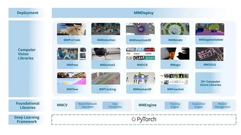 how to train rtmdet on a custom dataset