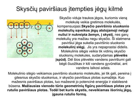 Ppt Paviršiaus įtemptis Paviršiaus įtempties Jėga Powerpoint Presentation Id 4235115