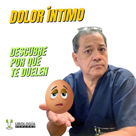 Causas De Dolor Testicular Urología Peruana Dr Susaníbar