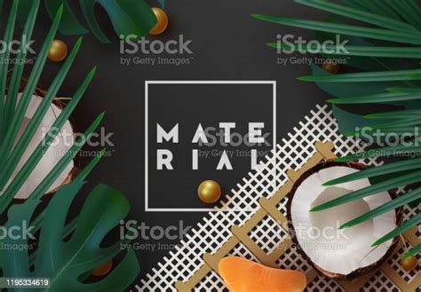 여름 열대 배경입니다 다양한 과일 녹색 잎 야자 수 현실적인 코코넛 오픈 0명에 대한 스톡 벡터 아트 및 기타 이미지 0명 3차원 형태 검은색 Istock