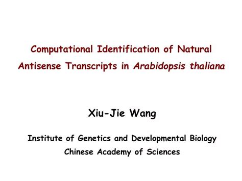Ppt Computational Identification Of Natural Antisense Transcripts In Arabidopsis Thaliana