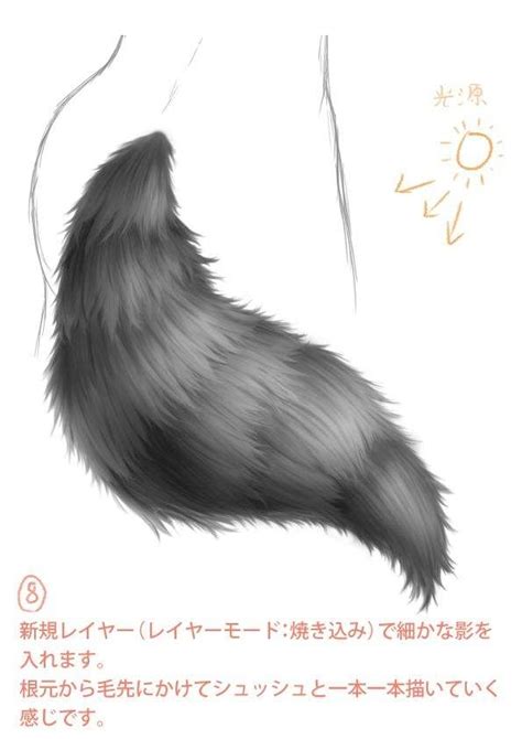 狐狸尾巴画法动漫 图库 五毛网