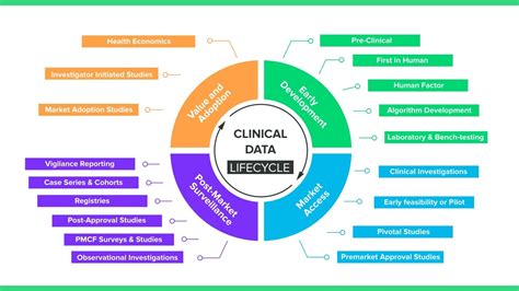 Ultimate Guide To Clinical Data Management In Medtech