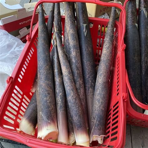 真竹 約5キロ 最終 By メルカリ