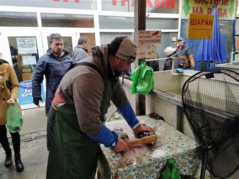 Борсите за риба в Пловдив под обсада 25 лева за средноголям шаран снимки