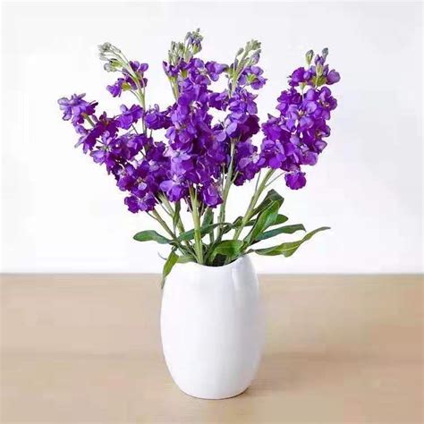紫罗兰鲜切花养护 风铃花鲜切花养护 伤感说说吧