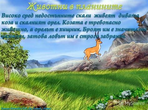 Презентация на тему Емилия Петкова Човекът и природата ІІІ клас Част от животните обитават