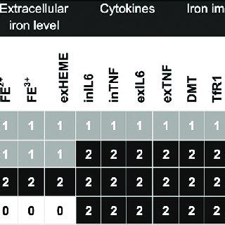 Different States Of The Computation Model Steady State Simulations For Download Scientific