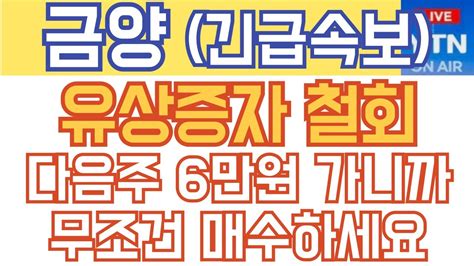 금양 주가전망 속보 유상증자 철회 다음주 6만원 가니까 무조건 매수하세요 Youtube