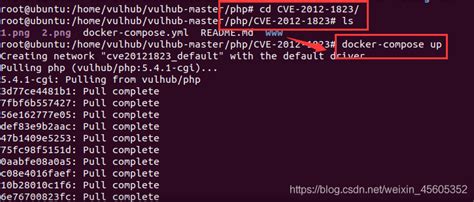 Vulhub （cve 2012 1823）php Cgi远程代码执行漏洞vulhub Cve 2012 1823 Csdn博客
