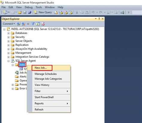 dynamics nav tips from ashwini tripathi schedule sql job for sql