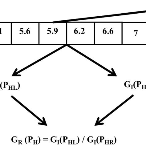Illustration Of Gini Ratio Calculation Download Scientific Diagram