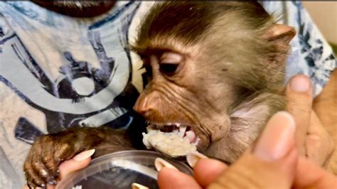 Мама кормит маленькую Тосю первой в ее жизни вкусной кашей малышка худенькая нужно откормить