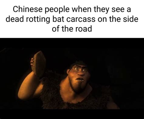 Chinese People When They See A Dead Rotting Bat Carcass On The Side Of