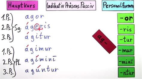 Passiv Perfekt Erklärt Inkl Übungen