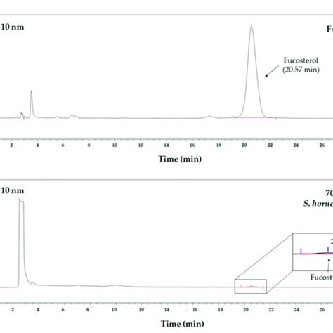 Hplc Chromatogram Of Fucosterol As A Standard Compound And 70 Etoh S