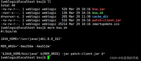 weblogic10 3 6补丁升级 csdn博客