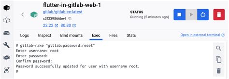 Инструкция как поднять Gitlab Cicd на Golang проекте Telegraph