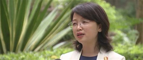 攀附省委原书记的女厅官落马后，她的下属也被查了 杨慧 落马 贵州省 新浪新闻
