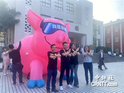 中评镜头国民党团搬来粉红猪 蓝委抢合照
