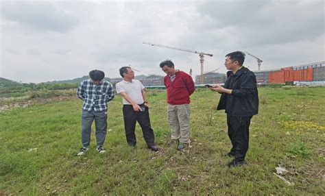 山体修复“回头看” 绿色生态“迎亚运”︱山体生态修复和景观提升专项行动开展“回头看”