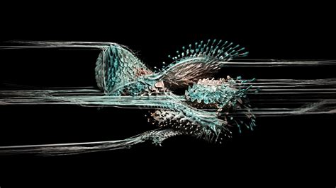 Behavioral Tectonics — Yo Tomura