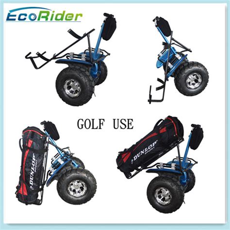도로 Segway 골프 스쿠터 떨어져 균형을 잡아 Ecorider 2 바퀴 각자는 전기 골프 스쿠터를 위로 서 있습니다