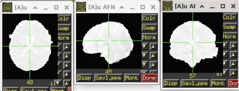 Afniprocpy With Fmriprep Outputs Questions On Masking And Clustering Afni Message Board