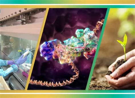 Crispr A Biotech Breakthrough Nsf Impacts Nsf Us National