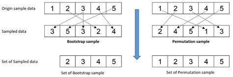 Bootstrap Sampling Vs Permutation Sampling By Danh Phan Medium