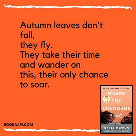 10 Best Where The Crawdads Sing Quotes Images From The Book