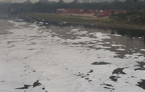 River Pollution Supreme Court Takes Cognizance Of Pollution In Yamuna