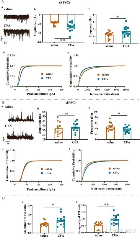 Mol Neurobiol︱浙江中医药大学杜俊英 房军帆 方剑乔团队揭示活化的星胶影响acc兴奋 抑制平衡参与慢性炎性痛 焦虑共病 知乎