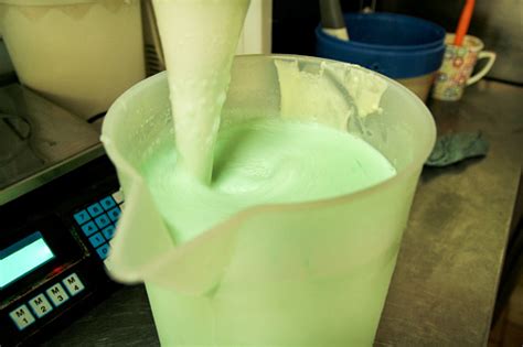 여성 요리사와 작업자 아이스크림 공장에서 일 하는 그녀가 우유 혼합 민트 추출 및 맛 아이스크림 생산을 위한 기본 준비 여자 만들기 아이스크림 재료를 혼합 함께입니다 0명에