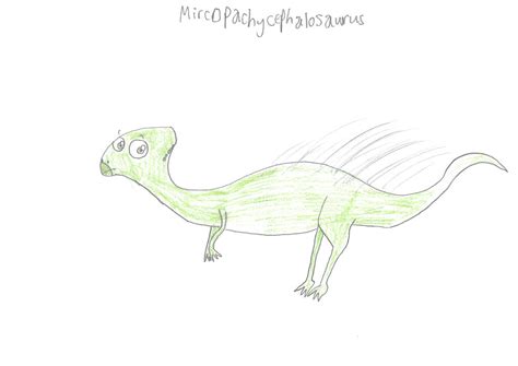 Micropachycephalosaurus By Upeopilotjumbo On Deviantart