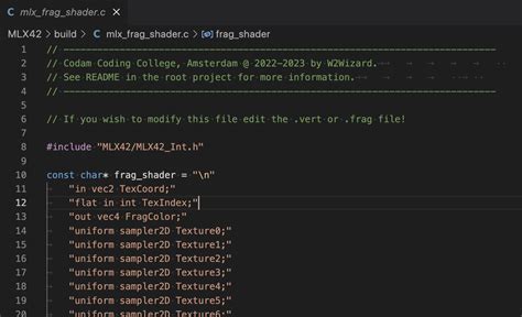 Bug Shader Build Process Executing Incorrectly · Issue 91 · Codam