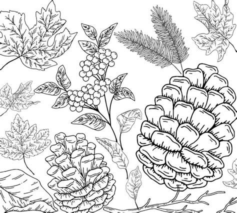 Rudens Spalvinimas 🍂 Pepe Lt