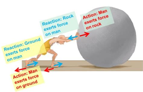 Law Of Action And Reaction Examples
