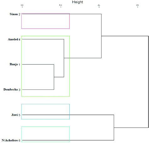 Dendrogram Constructed Based On Quantitative Traits Having A High Download Scientific Diagram