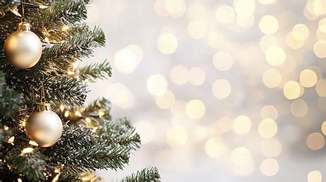 Twinkling Tree Background Images Hd Pictures And Wallpaper For Free