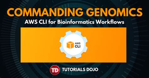 Samantha Servo On Linkedin Commanding Genomics Aws Cli For Bioinformatics Workflows