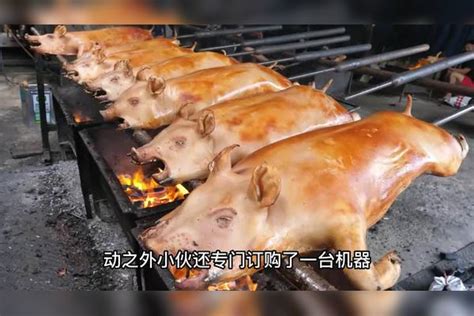 小伙每天卖 只烤猪每只 元顾客怀疑是劣质猪小伙直接现场烤 小伙 顾客