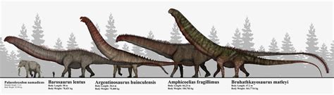 Brachiosaurus Vs Argentinosaurus
