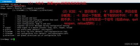 nginx入门3：nginx常用命令；（启动nginx；启动时，指定配置文件；测试配置文件，查看当前使用的哪个配置文件；显示nginx版本