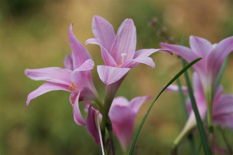 60 000 개의 최고의 병맛 컴퓨터 배경화면 사진 · 100 무료 다운로드 · Pexels 스톡 사진