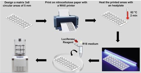Atp Sensing Paper With Smartphone Bioluminescence Based Detection Bioelectronics And Biosensors
