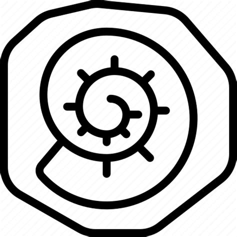 Fossil Fossils Dinosaur Shell Discovery Icon Download On Iconfinder