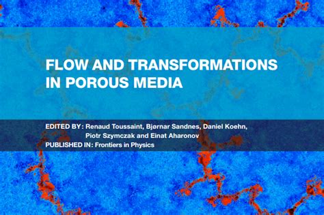 Flow and Transformations in Porous Media Cømplex Fløw Lab