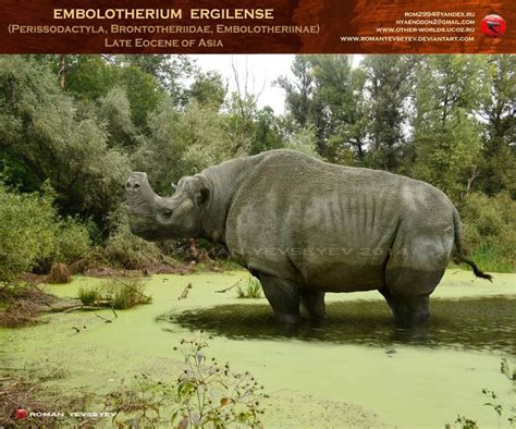 Embolotherium Ergilense Exotic Mammal Art On Deviantart
