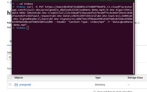 hi i faced cors error when upload file via presigned url i tried to add content type header
